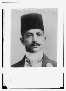 Sait Halim Pasha - Turkey in the First World War